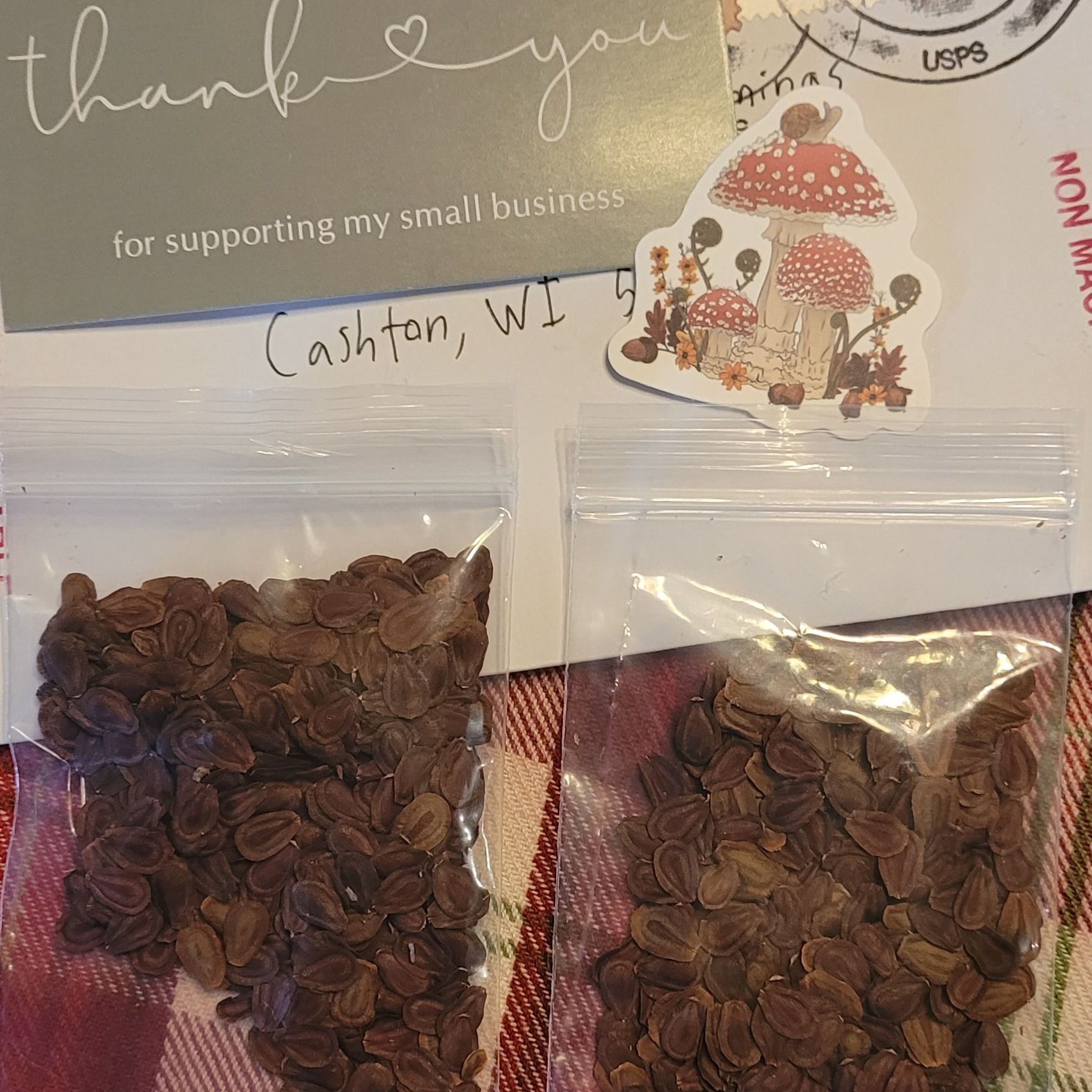 Save the Monarchs – In the "Wilds of Wisconsin & Cornfields of Iowa"